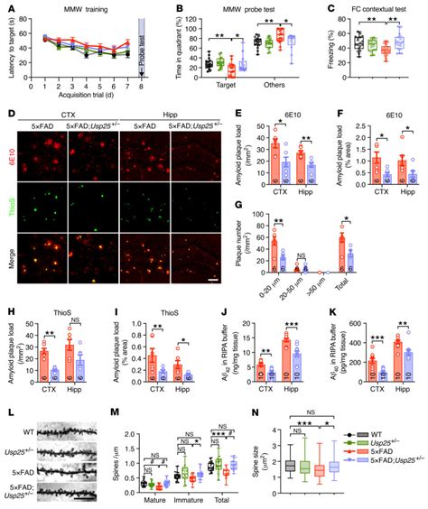 Usp25 Inhibition Ameliorates Alzheimers Pathology Through The Regulation Of App Processing And