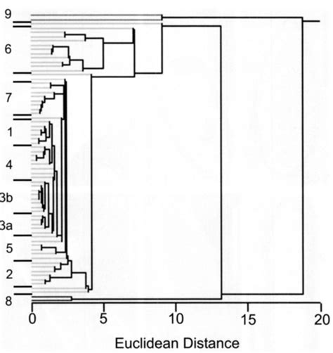 Heirarchical Clustering Tree Of 68 Individuals Representing 28 Taxa