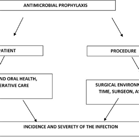 Factors For The Use Of Antimicrobial Prophylaxis Download Scientific Diagram