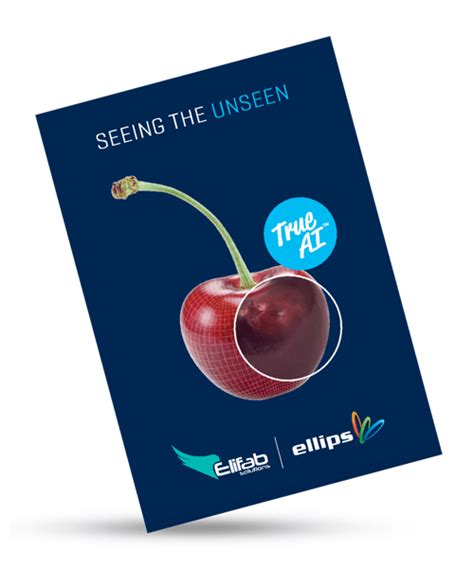 Ellips Group Brochures