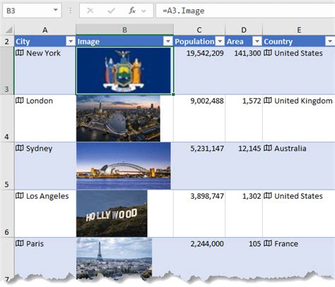 Images In Excel Pivottables • My Online Training Hub