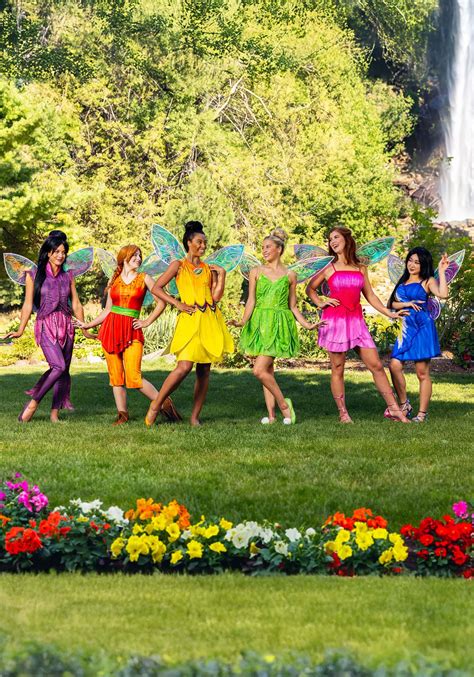 Adult Disney Fairies Vidia Costume Disney Costumes