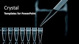 Best Pcr Themed Templates For PowerPoint Google Slides