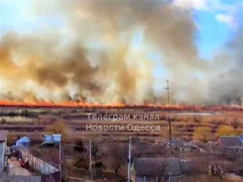 На Одещині масштабна пожежа у національному парку Волинь Ua