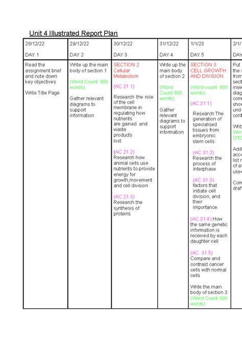New Preparing A Written Assignment Unit 4 Illustrated Report Plan 28