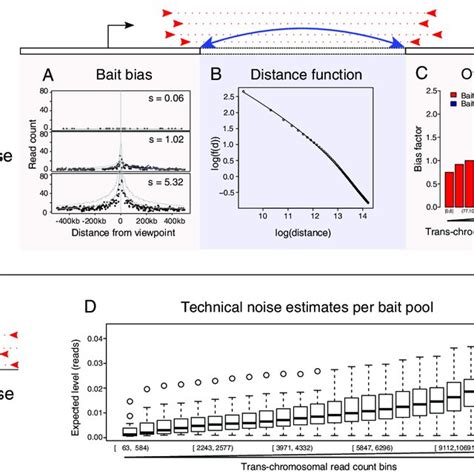 The Outline Of Capture Hi C A Outline Of The Chi C Protocol A Hi C Download Scientific