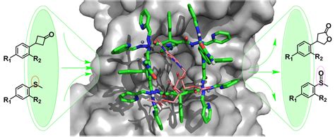 A Host−guest Approach To Combining Enzymatic And Artificial Catalysis