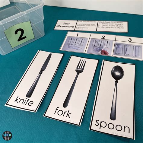 Have You Used Sorting Tasks For Special Education Full Sped Ahead