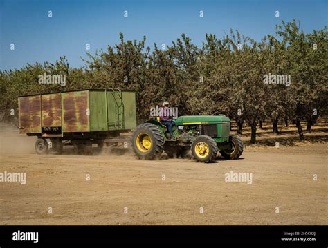 Photo Of A Tractor With Driver Pulling A Metal Trailer With Almond