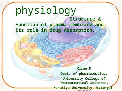 PPTX Physiology Structure Function Of Plasma Membrane And Its