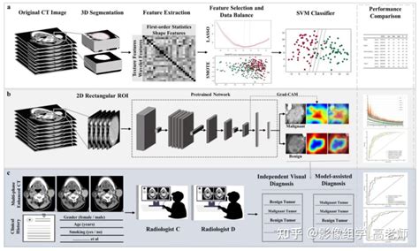 影像组学科研小组定制化实操内训：制定团队科研方向，完成小组成员分工，建立组学科研工作站 知乎
