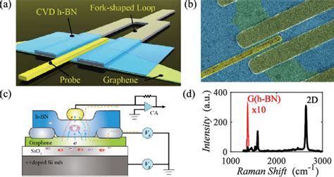 A Schematic Of The Vertical Grapheneh Bnmetal Device The Blue Is
