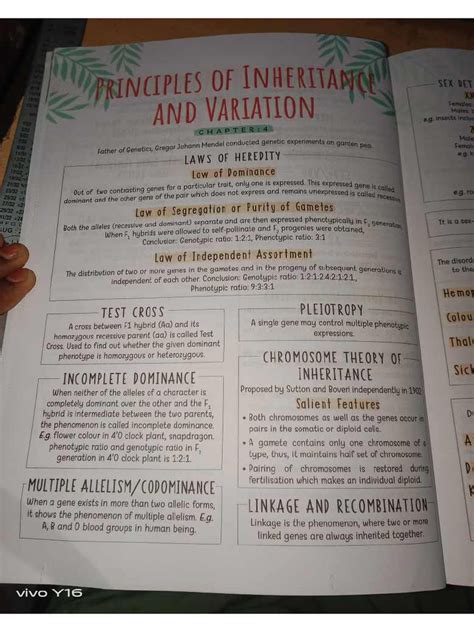 Principles Of Inheritance And Variations Short Notes Pdf