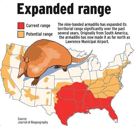 Lock Stock And History On Tumblr