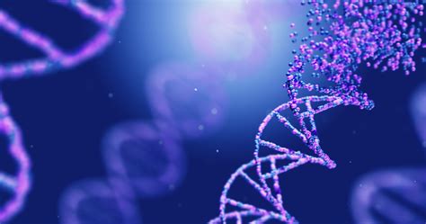 New Therapy Targets Stat3 In Chemotherapy Resistant Leukemic Stem Cells