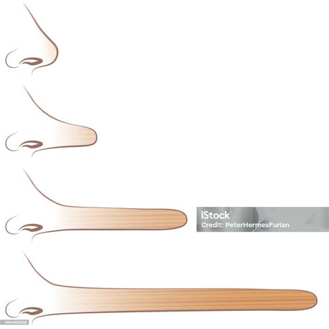 나무 코를 피노키오 처럼 거짓말로 인 한 긴 성장 코 서로 다른 길이 하얀 거짓말 진실에서 시작 하는 4 단계 블 러프 하 고