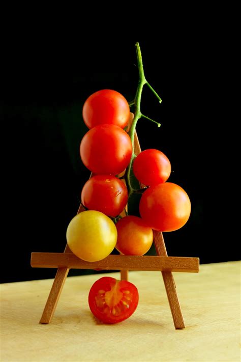 Hiba AL Homsi Insearch Pk