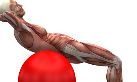 Top 10 Range Of Motion Rom Exercises For Joints Enhance Flexibility And Mobility