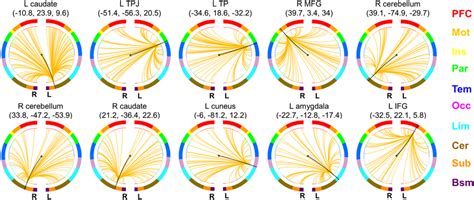 Connectivity Patterns Of The Top Ten Nodes With The Most Connections