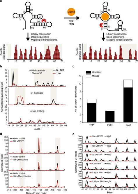 Measuring Rna Ligand Binding By Structure Probing And Deep Sequencing Download Scientific