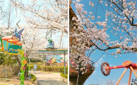 Gyeongju World Amusement Park Discount Ticket Trazy Korea S 1