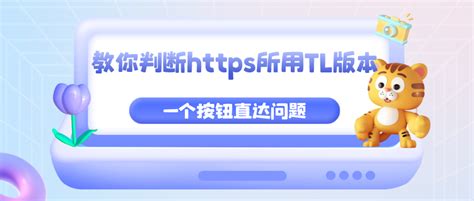如何判断使用了哪个版本的tls？ 知乎