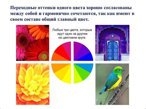 Гармоничные сочетания цветов презентация онлайн