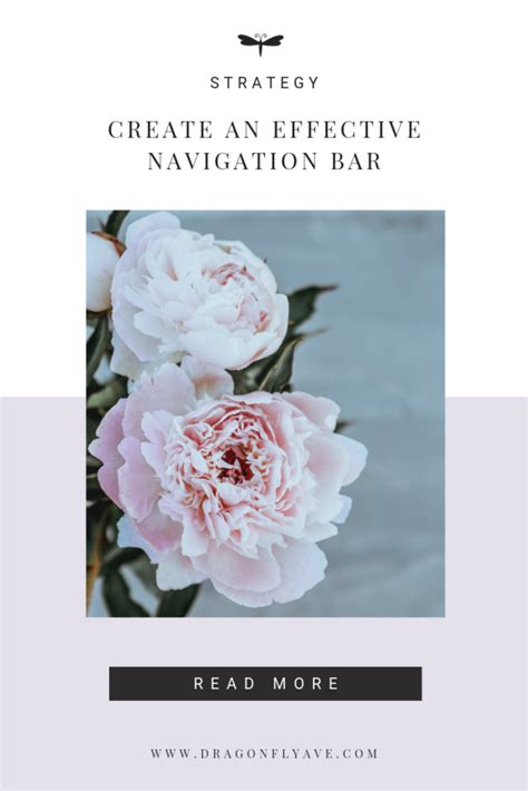 Create An Effective Navigation Bar Dragonfly Ave
