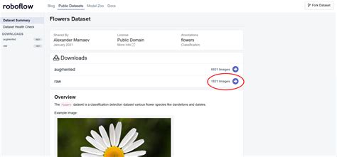 How To Train Mobilenetv2 On A Custom Dataset