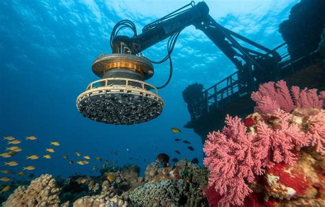Deep Sea Mining Promising Prospects