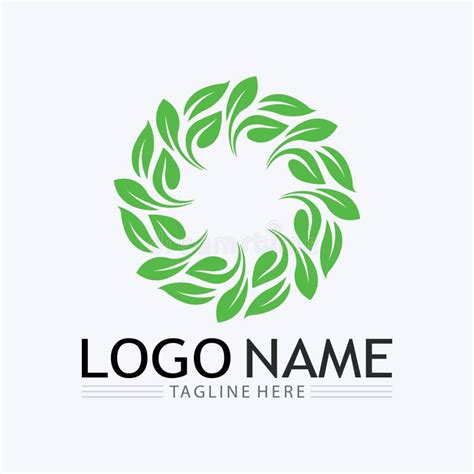 Tree Logo Icon Vector Illustration Designvector Silhouette Of A Tree Templates Of Tree Logo And