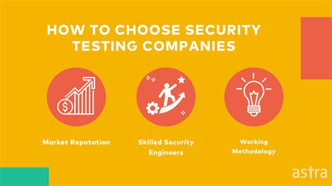 Software Penetration Testing A Complete Guide