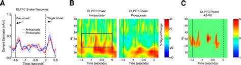 Temporal And Spectral Dynamics Of Dlpfc Neural Activity A Evoked