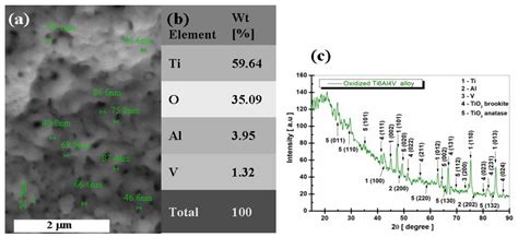 IJMS Free Full Text Effect Of Functional Nanoporous TiO2 Film Obtained On Ti6Al4V Implant