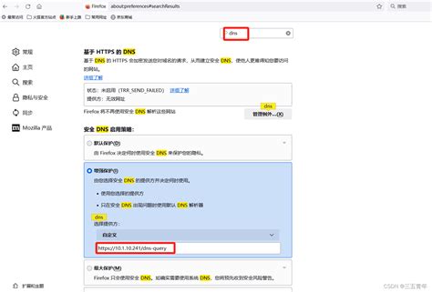 dns over （doh）配置实现 dns over hppts模板 csdn博客