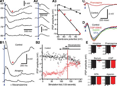Figure 1 From Impact Of Basal Forebrain Cholinergic Inputs On Basolateral Amygdala Neurons