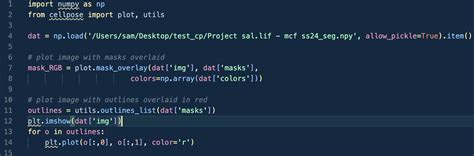 Struggling To Plot The Masks Created With Cellpose In Python From The Segnpy File Image