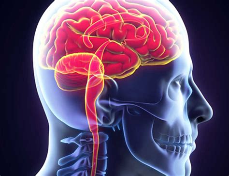 Untreated Tmj Can Affect Your Brain And Whole Body Beyond