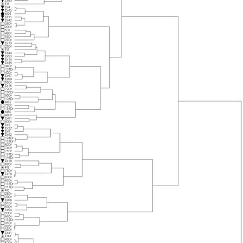 Cluster Analysis Dendrogram Download Scientific Diagram