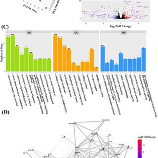 Analysis Of RNA Sequencing Data A Three Dimensional Principal