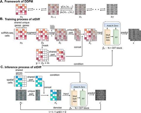 New Life Research Foundation Neliref Ltdgte On Linkedin Stdiff A Diffusion Model For
