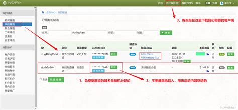在自己电脑上编写的项目如何让别人也能访问（内网穿透）？在自己电脑上的项目如何让别人在线访问 Csdn博客