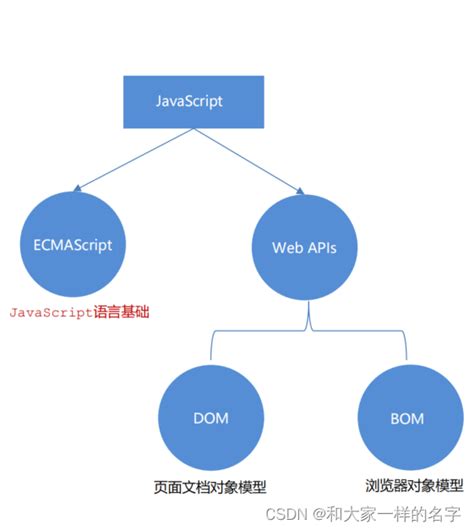 Javascript初识 Csdn博客