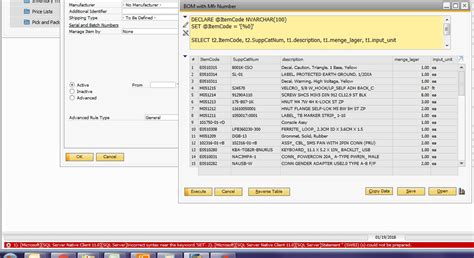 Beas User Input Query Boyum Help Center