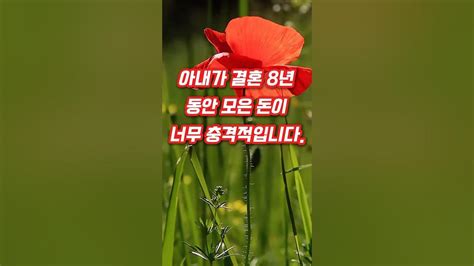 아내가 결혼 8년 동안 모은 금액 Youtube