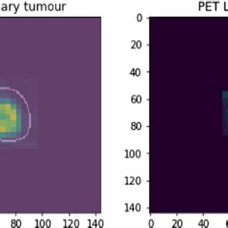 Example Of The Input Data Each Input Dataset Consisted Of A Manually Download Scientific