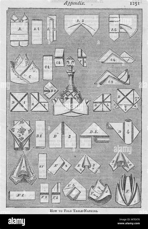 Appendix Diagram Hi Res Stock Photography And Images Alamy