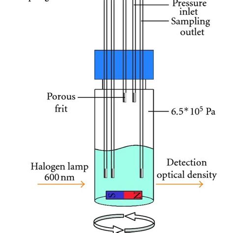 calibration curve for linearization of od600 measurement blue dashed