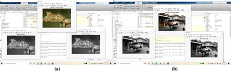 A Screenshot From Matlab Of Image 1 B Screenshot From Matlab Of Image