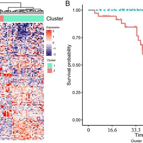 Identification Of Molecular Subtypes A Clustering Heat Map Of Download Scientific Diagram